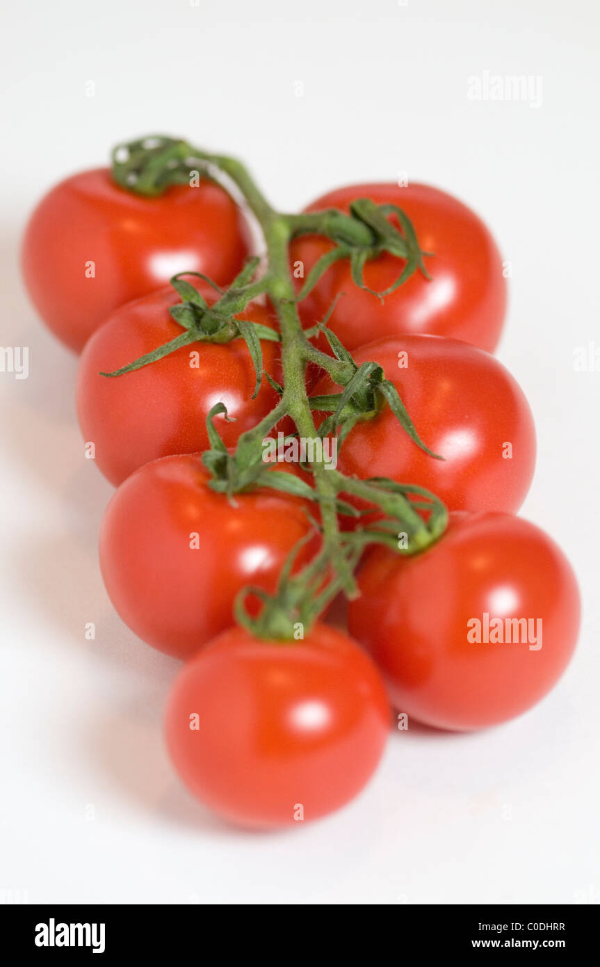 Vine tomatoes hi-res stock photography and images - Alamy