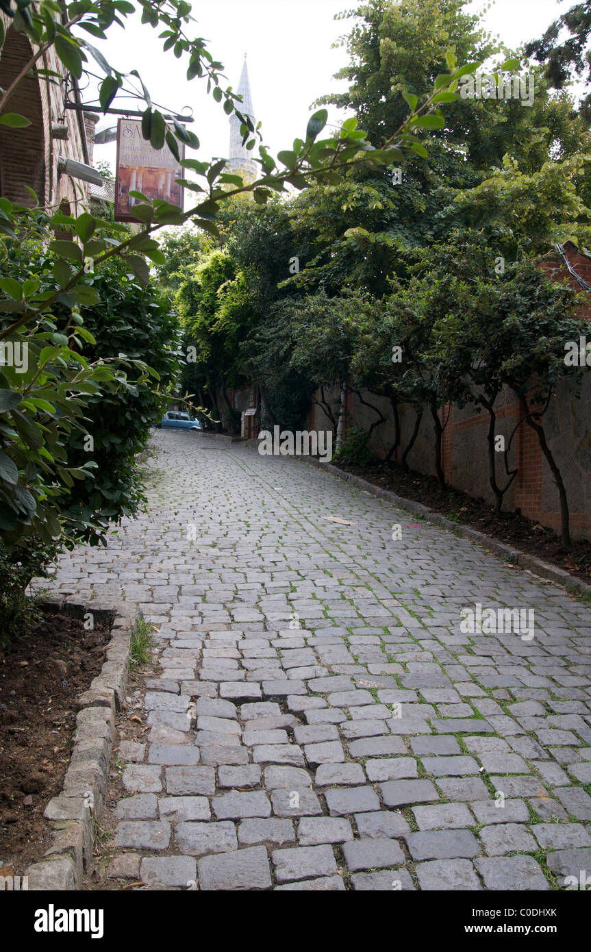 Sultanahmet (Old City) district of Istanbul. Buildings wood street ...