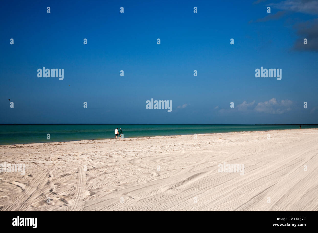 Beach on Holbox Island, Yucatan, Mexico Stock Photo - Alamy