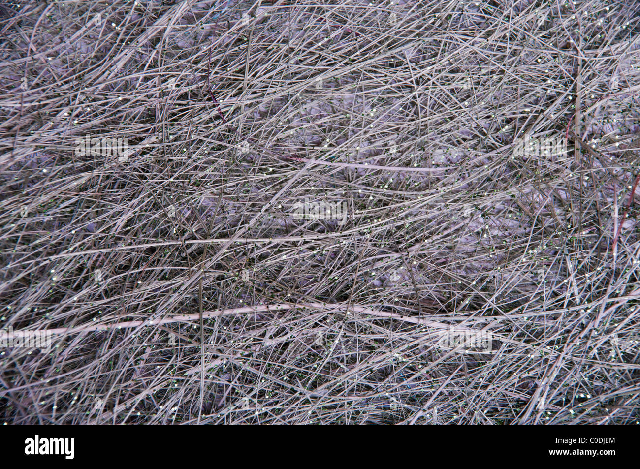 Texture grey canvas from the long fibres Stock Photo - Alamy