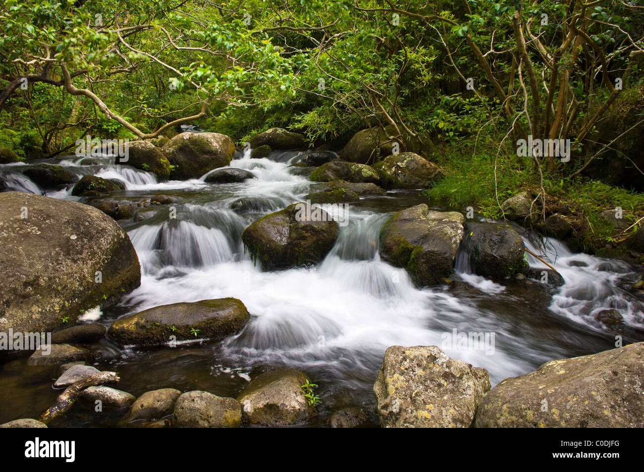 Waihe'e Valley stream, Maui, Hawaii Stock Photo - Alamy