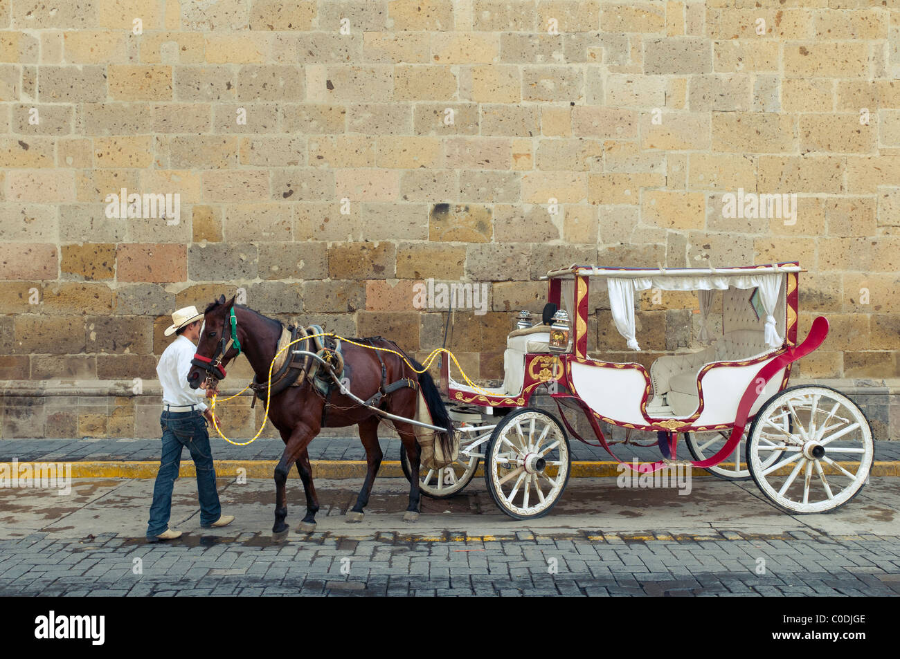 Horse drawn carriage and driver hi-res stock photography and images - Alamy
