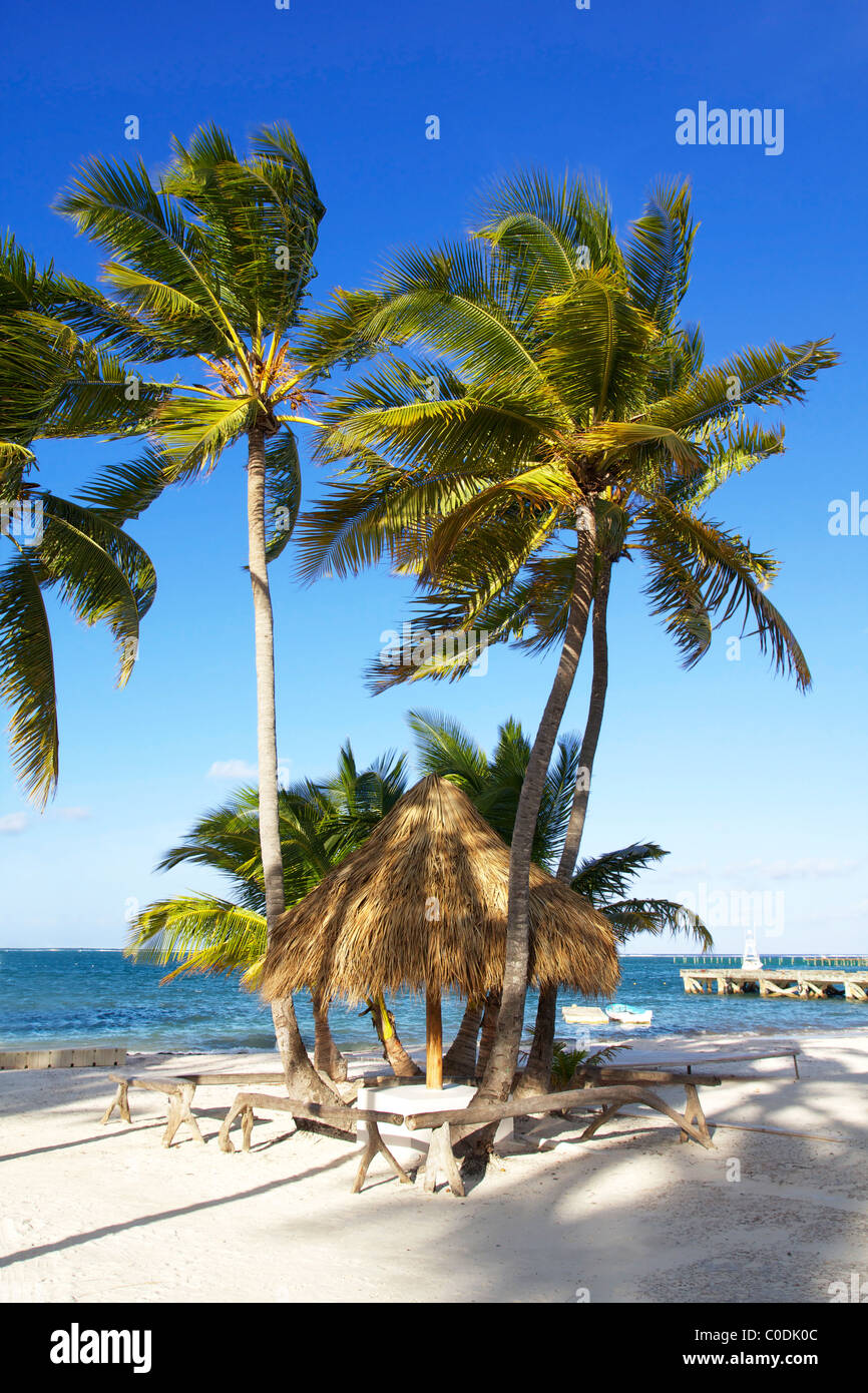 Palm leaf beach umbrella hi-res stock photography and images - Alamy