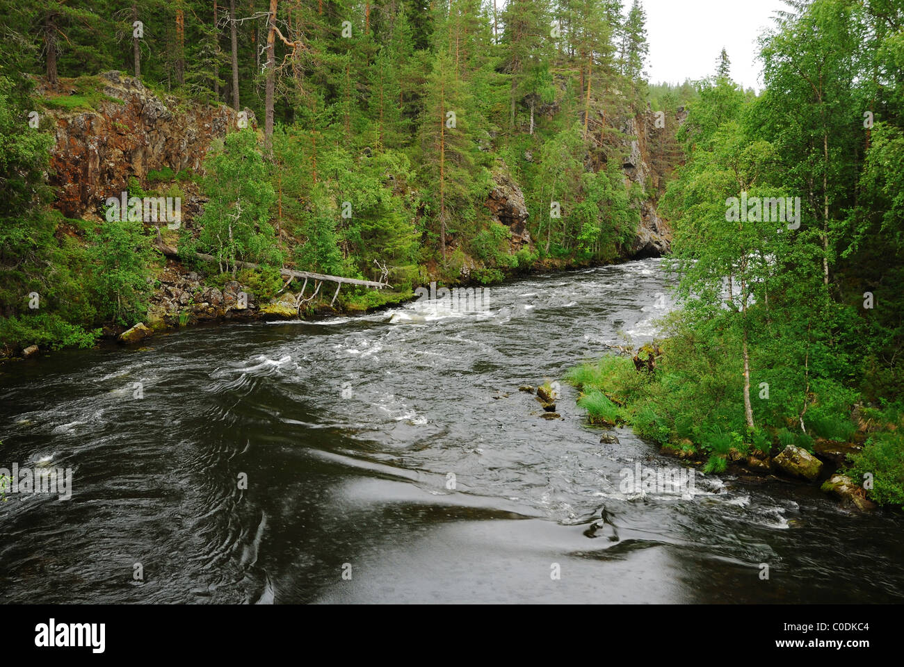 Taiga river summer water hi-res stock photography and images - Alamy