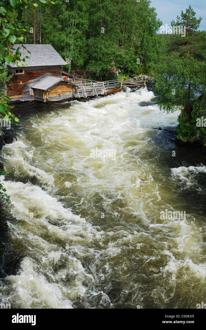 Waterfall in the taiga forest hi-res stock photography and images - Alamy