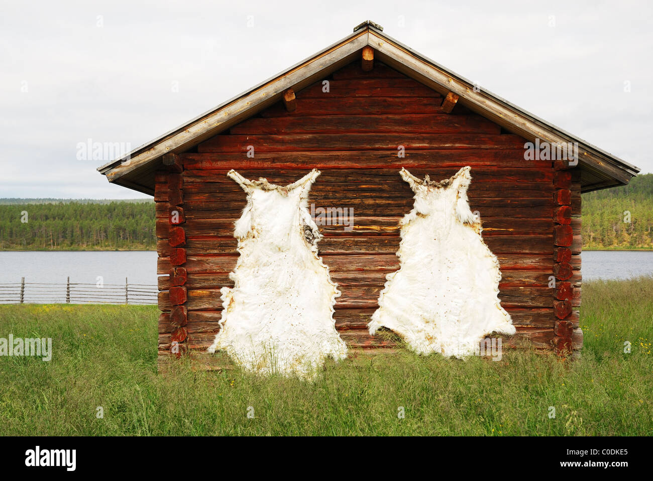 Wooden hut with dried reindeer's fells among pasture Stock Photo - Alamy