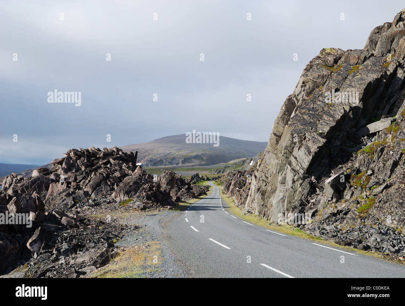 Road to Hamningberg in summer Stock Photo - Alamy
