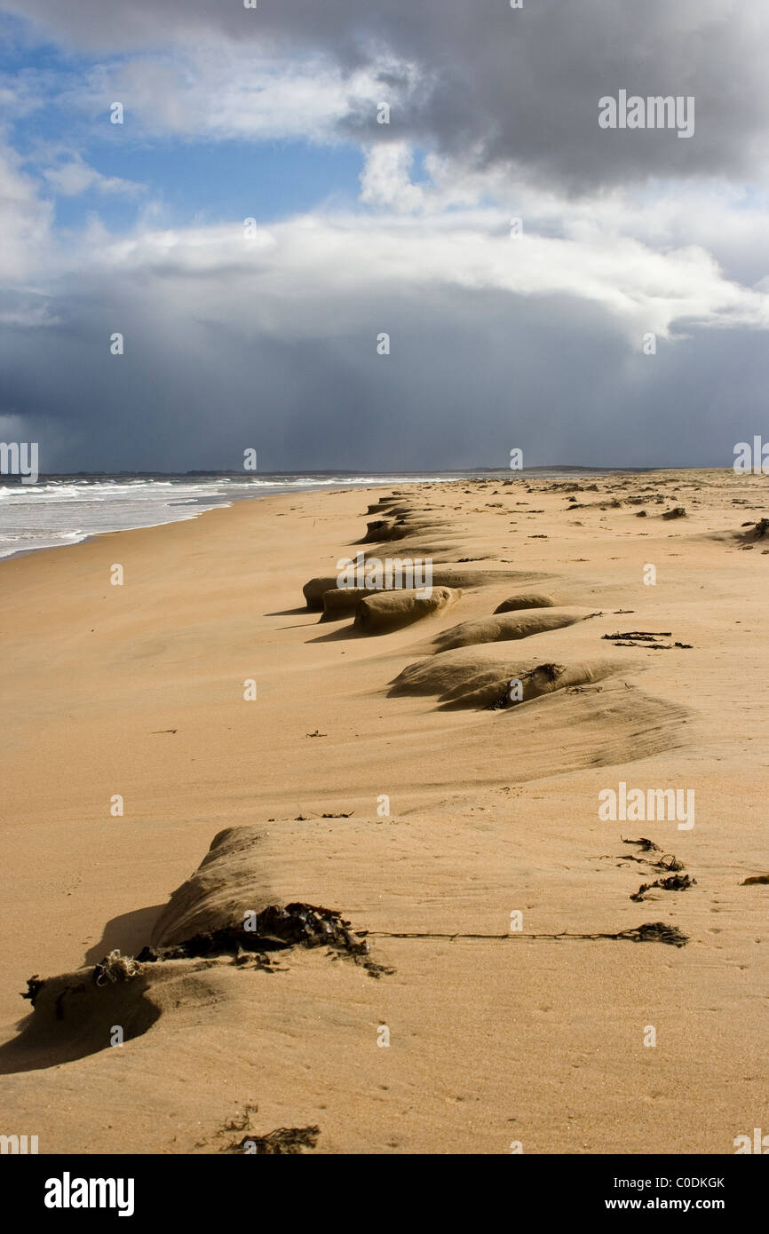 Dornoch firth sea hi-res stock photography and images - Alamy