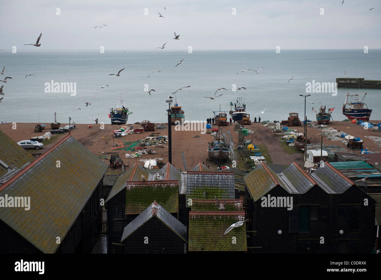 Msc seashore hi-res stock photography and images - Alamy