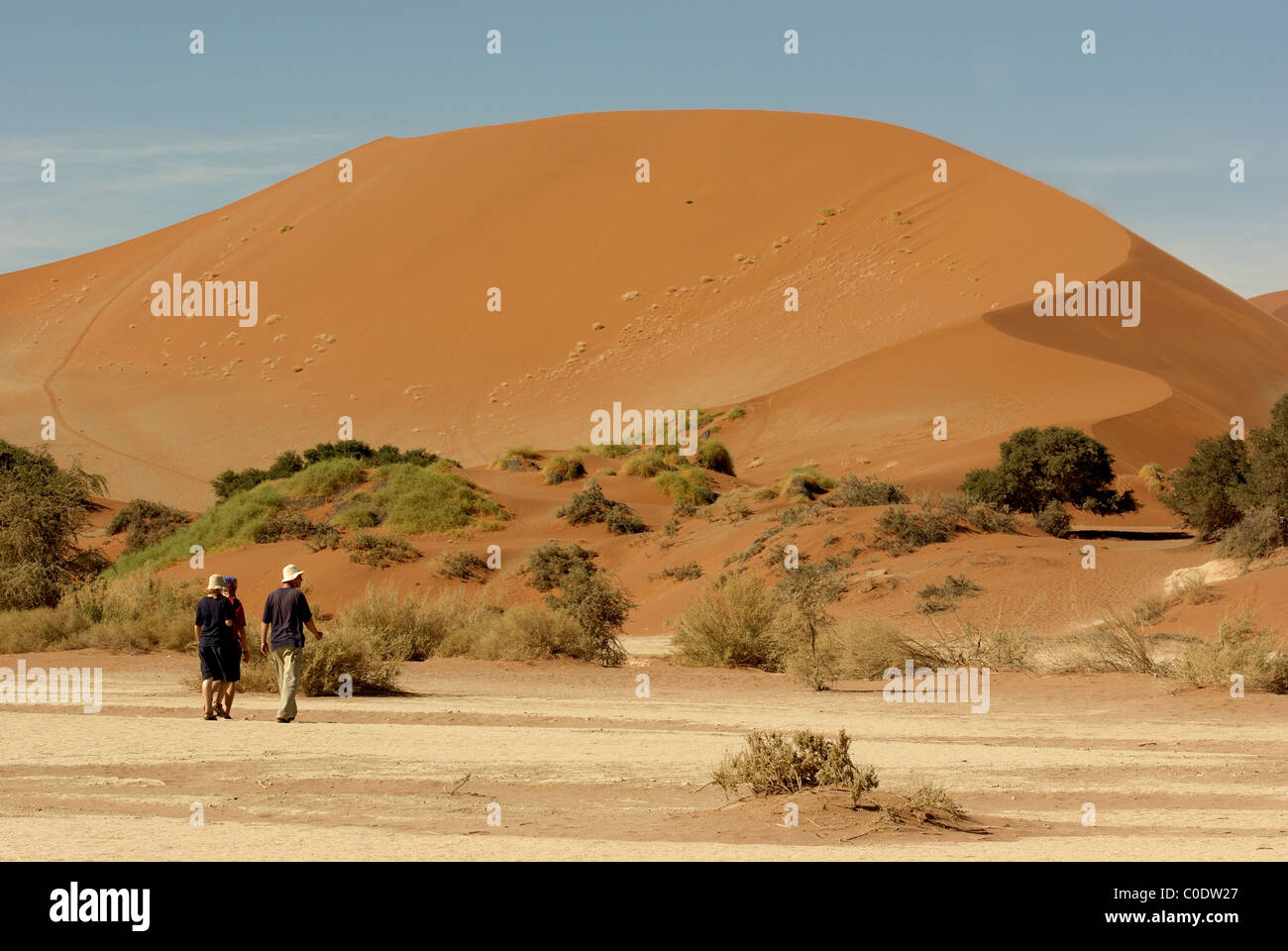 people walking in Sossusvlei - Namibia within the Namid desert Stock ...