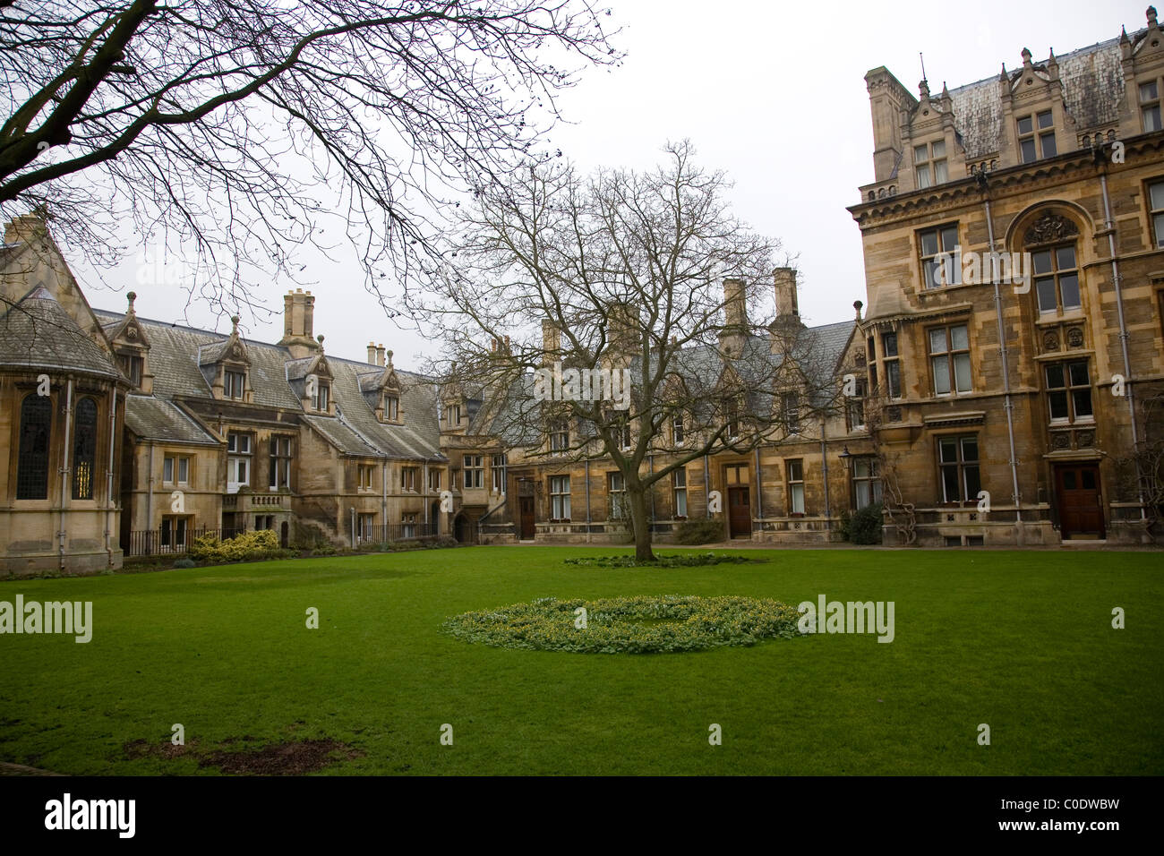 Caius university campus hi-res stock photography and images - Alamy
