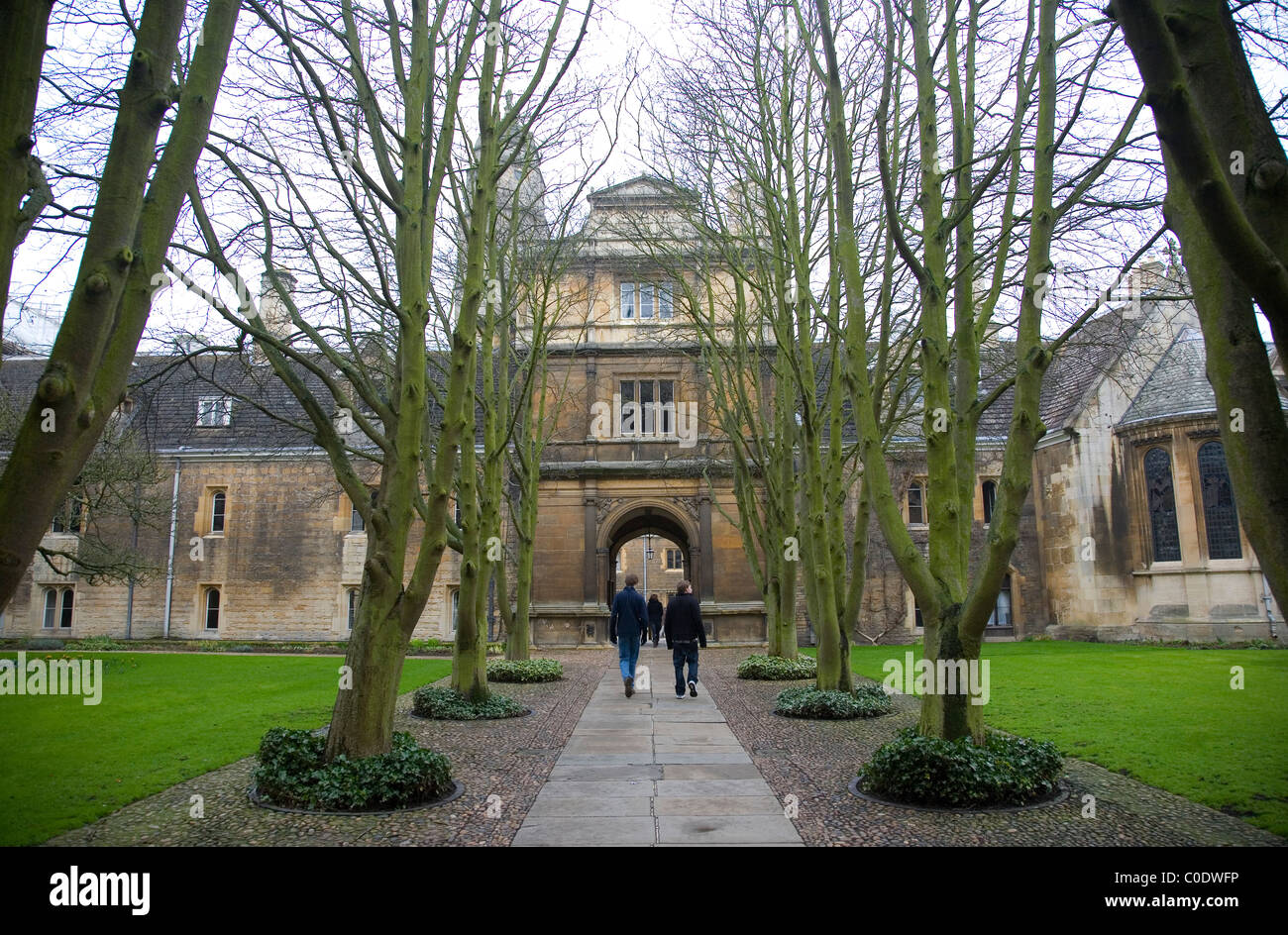 Gonville and Caius College in Cambridge Stock Photo - Alamy