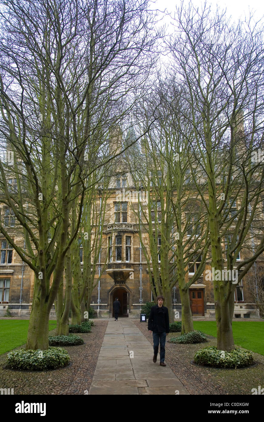 Gonville and Caius College in Cambridge Stock Photo - Alamy