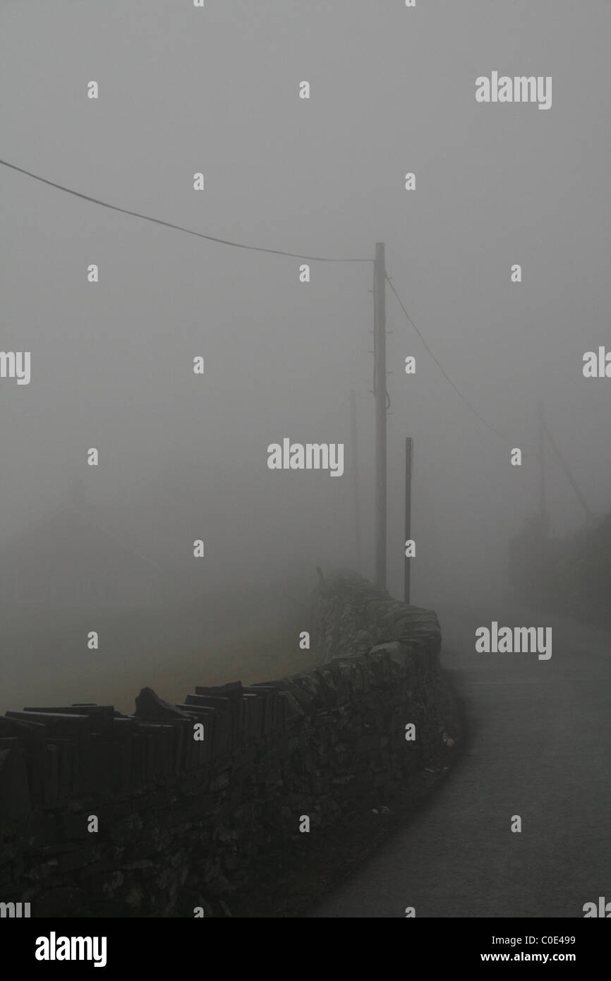 rural country lane in thick fog Stock Photo - Alamy