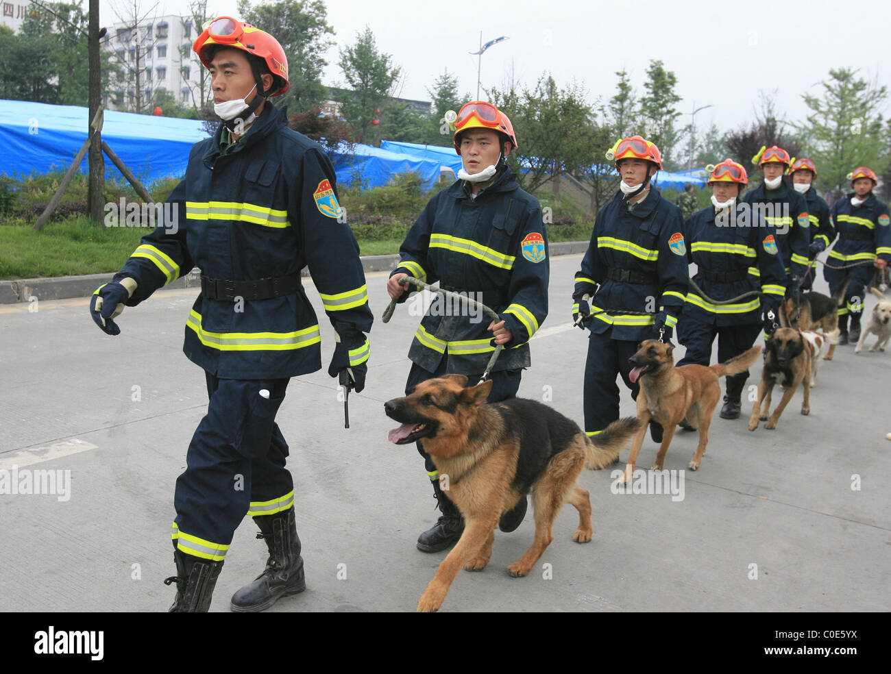 A team of firemen and dogs arrive in Dujiangyan to carry out rescue ...