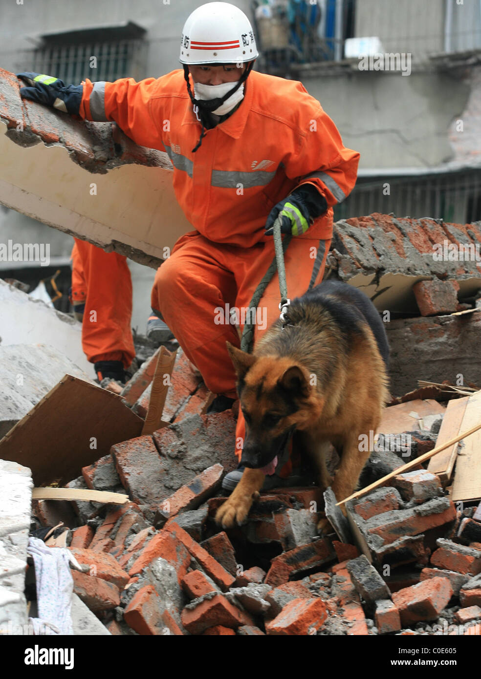 A team of firemen and dogs carry out rescue work in the remains of ...