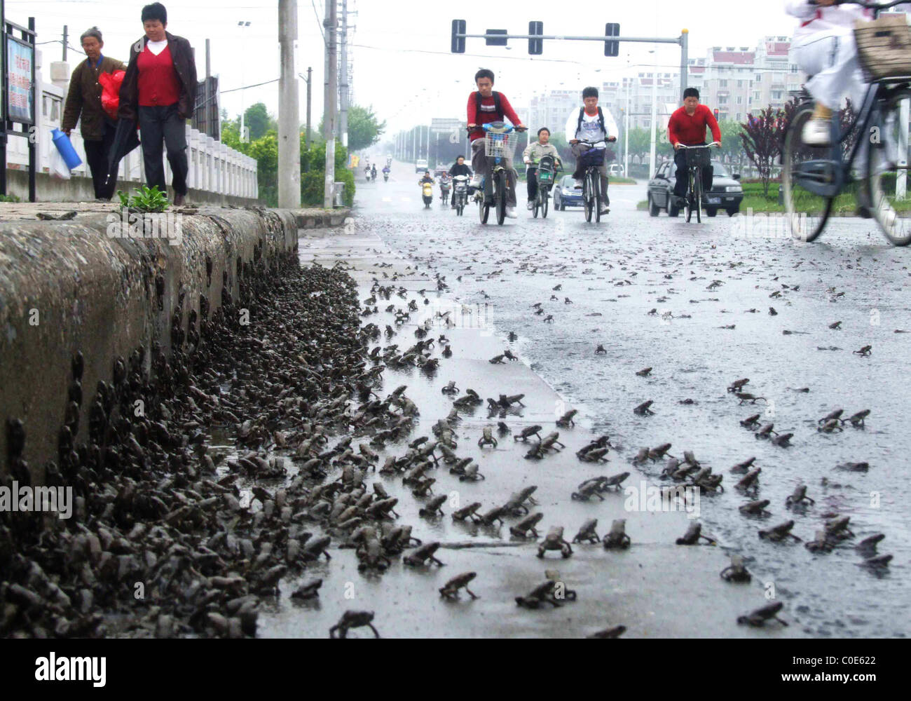 Hoptoads hi-res stock photography and images - Alamy