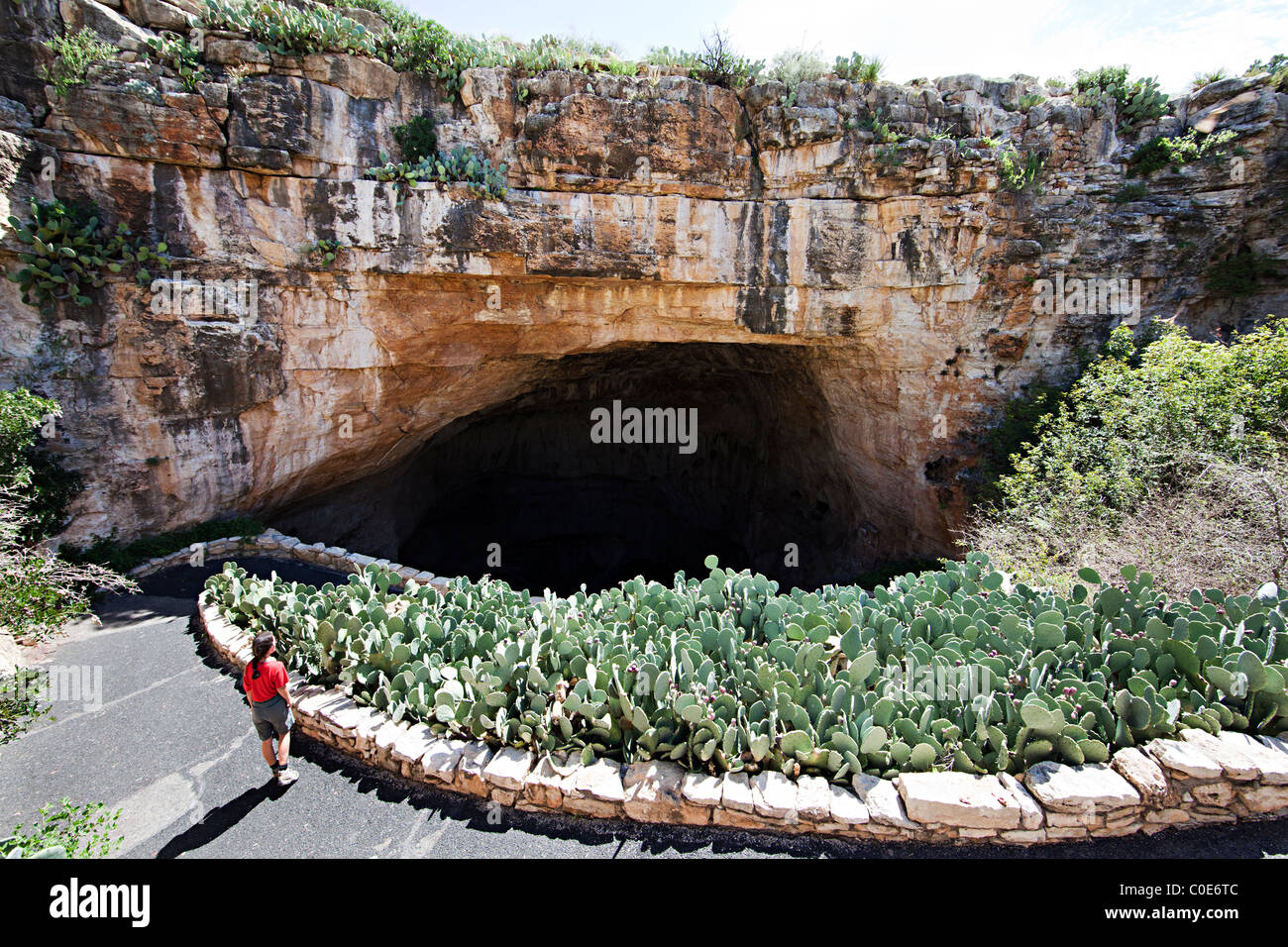 Carlsbad Caverns Entrance High Resolution Stock Photography and Images ...
