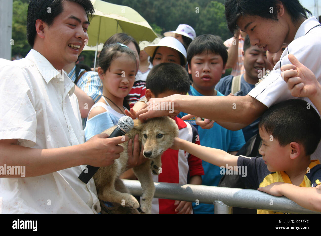ZOO EXCITES CROWD WITH CRUEL DISPLAY Although the crowds cheer on ...