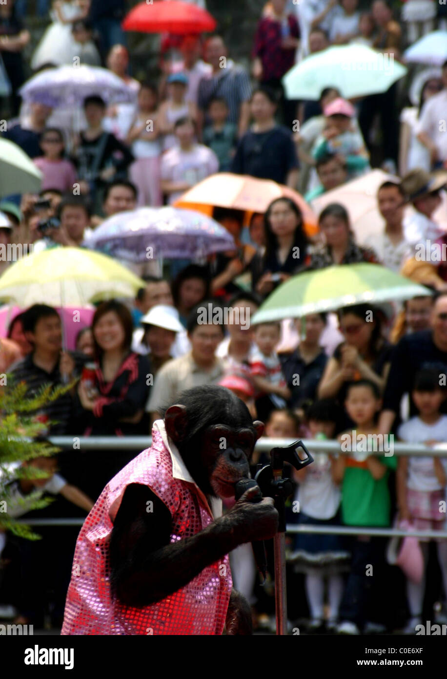 ZOO EXCITES CROWD WITH CRUEL DISPLAY Although the crowds cheer on ...
