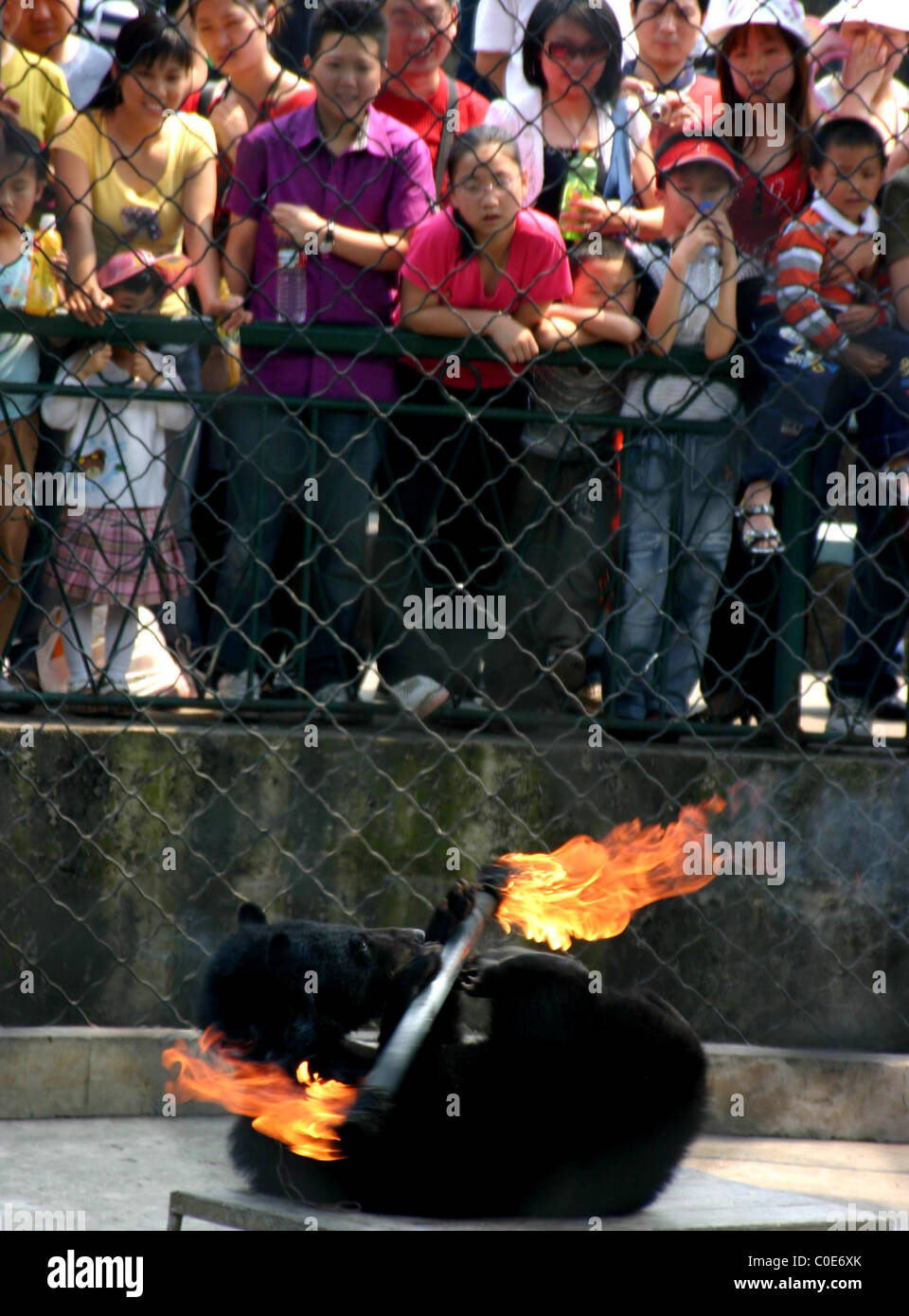 ZOO EXCITES CROWD WITH CRUEL DISPLAY Although the crowds cheer on ...