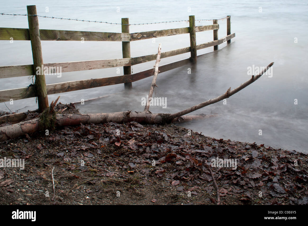 A fence down into the water with a branch washed upon the shore of ...