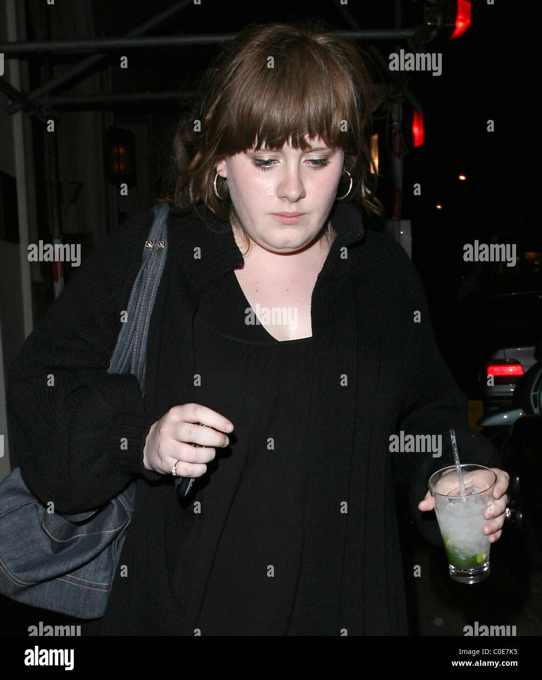 Adele Belvedere Vodka Jagger Dagger launch party, to celebrate an ice ...