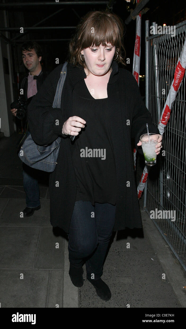 Adele Belvedere Vodka Jagger Dagger launch party, to celebrate an ice ...