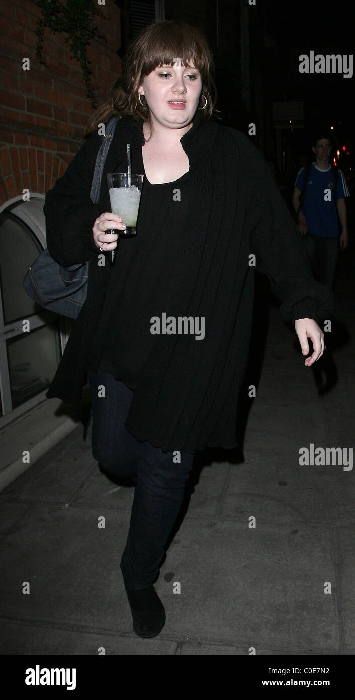 Adele Belvedere Vodka Jagger Dagger launch party, to celebrate an ice ...