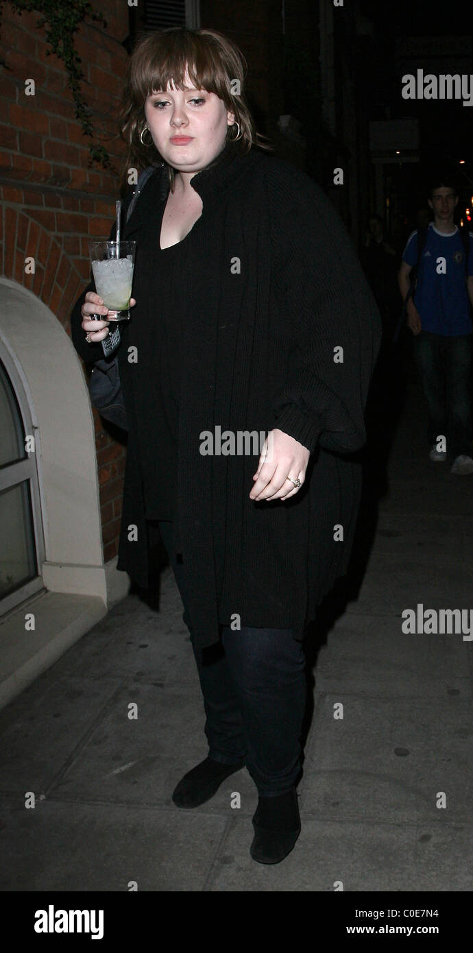 Adele Belvedere Vodka Jagger Dagger launch party, to celebrate an ice ...