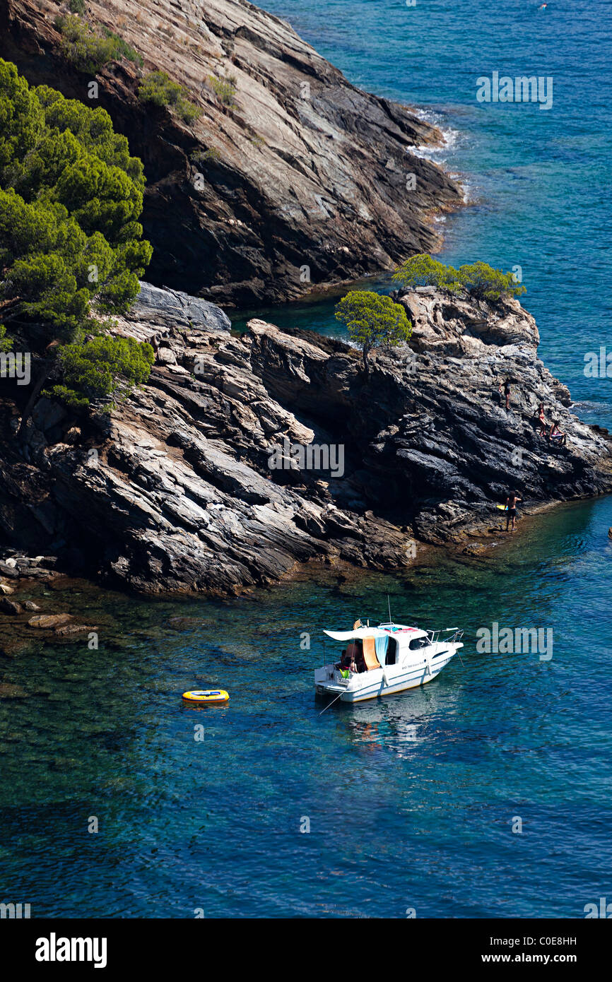 Rostella hi-res stock photography and images - Alamy