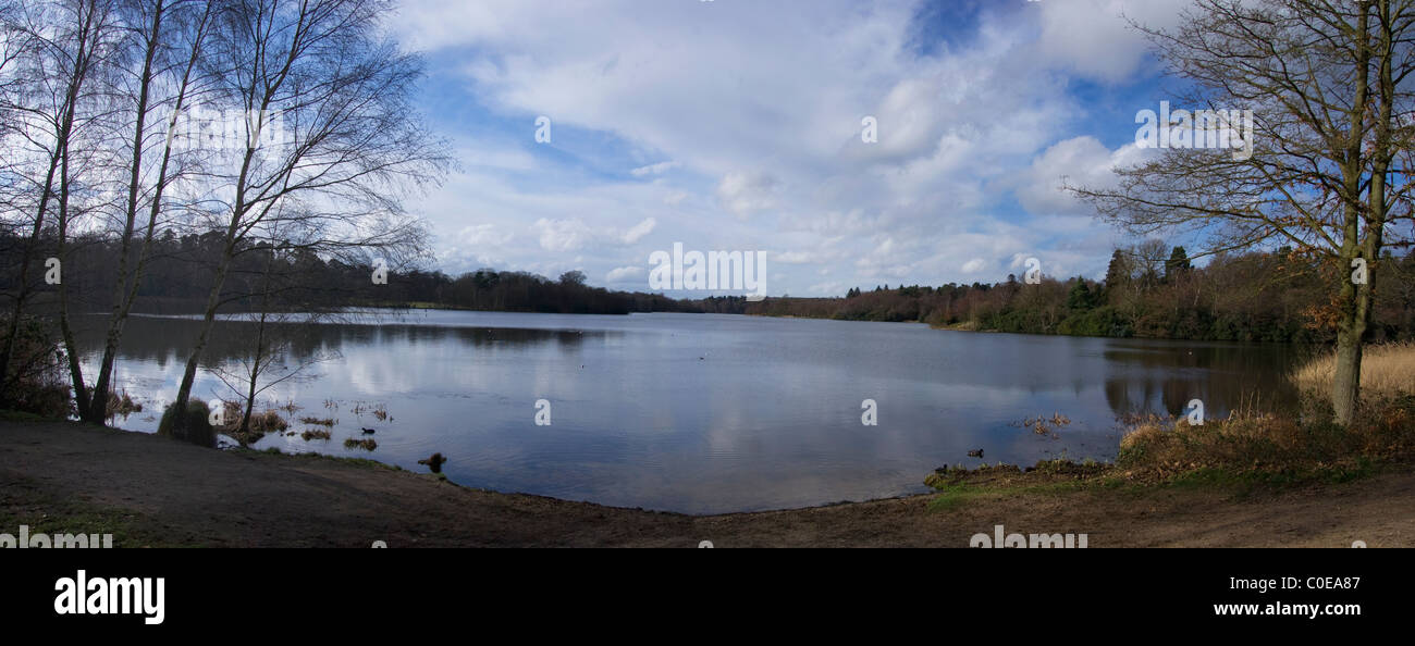 Panorama of Virginia water Stock Photo - Alamy