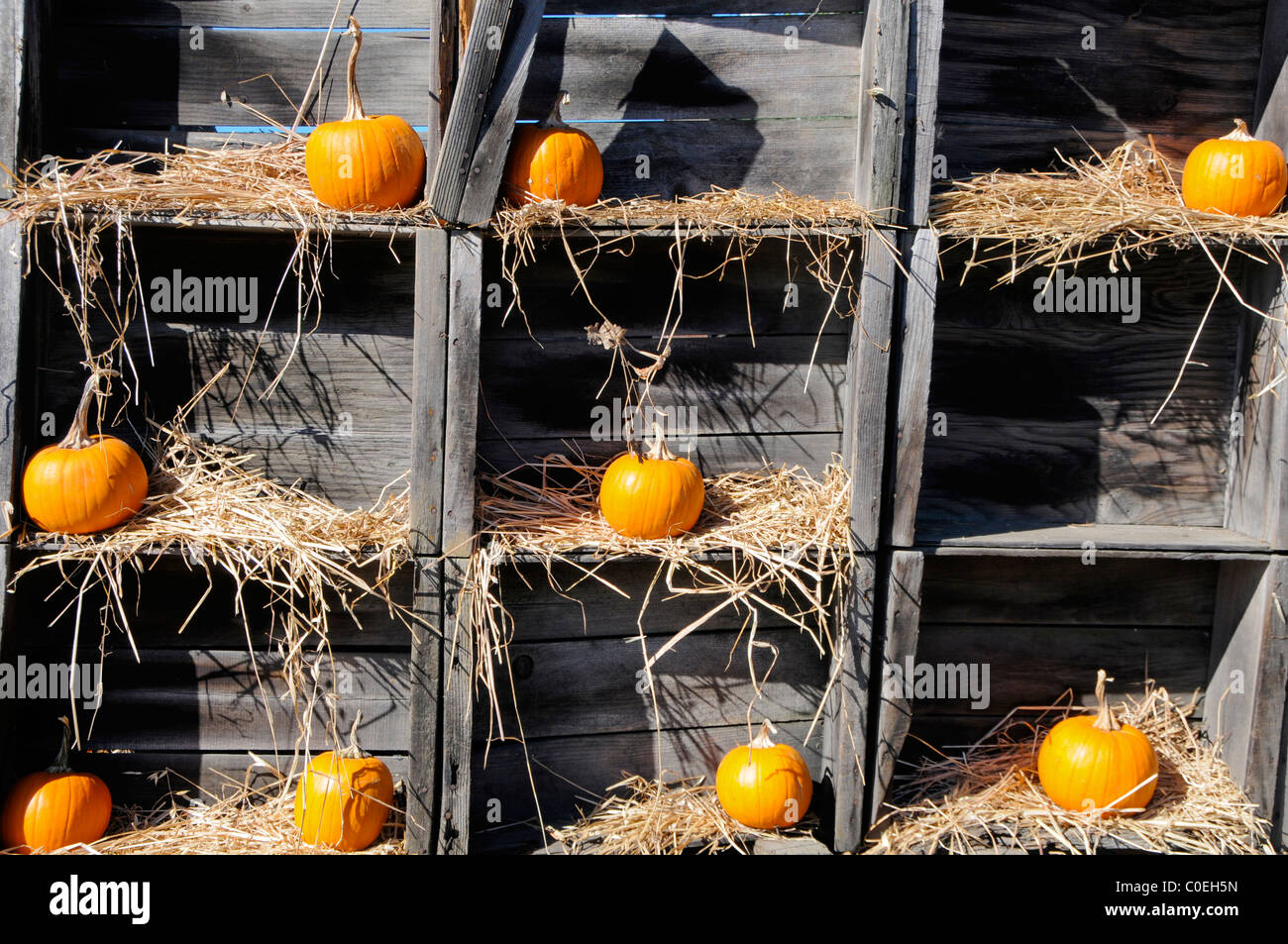 Abundant autumn display pumpkins hi-res stock photography and images ...
