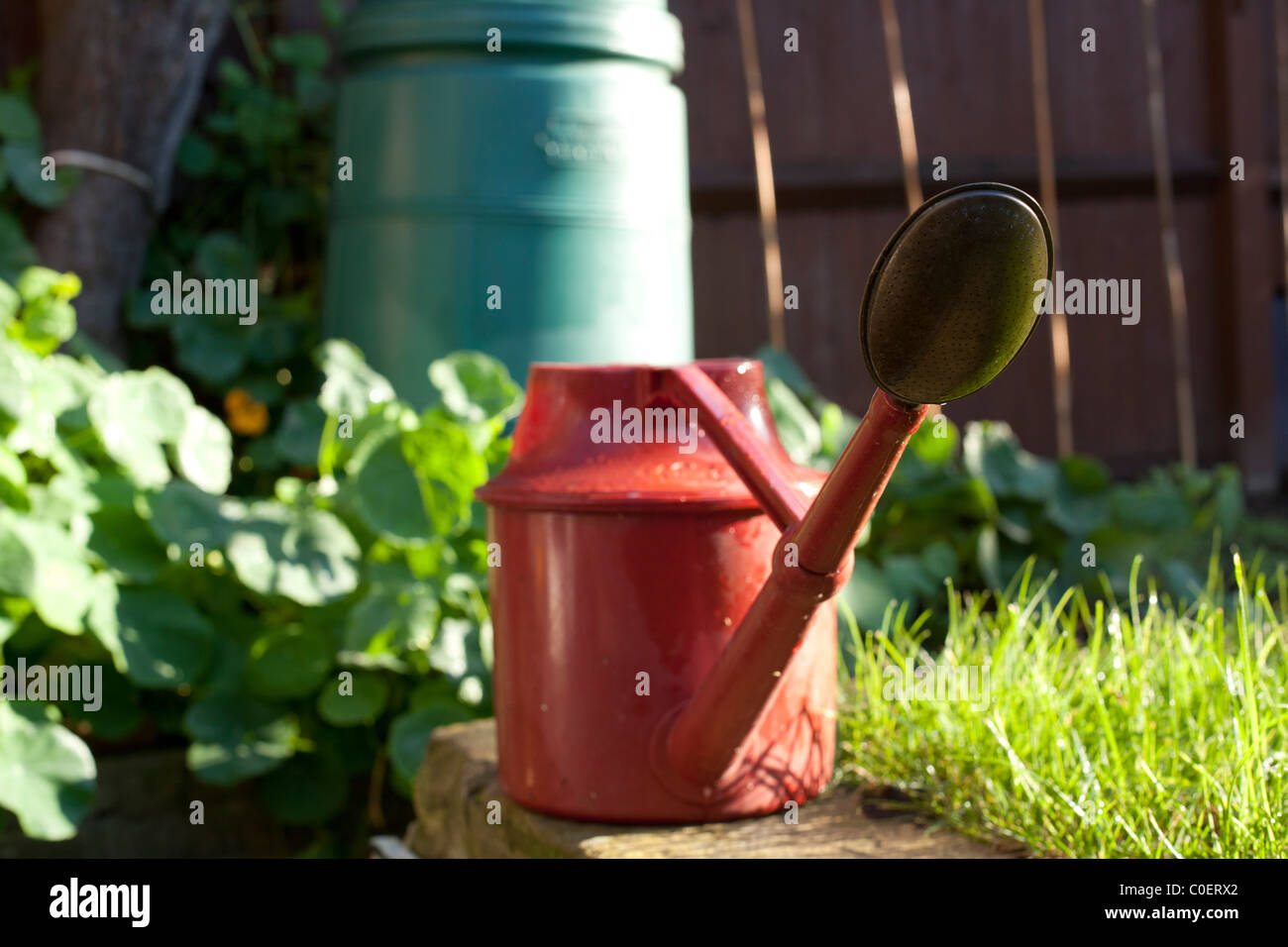 Plants growing stone wall day hi-res stock photography and images - Alamy