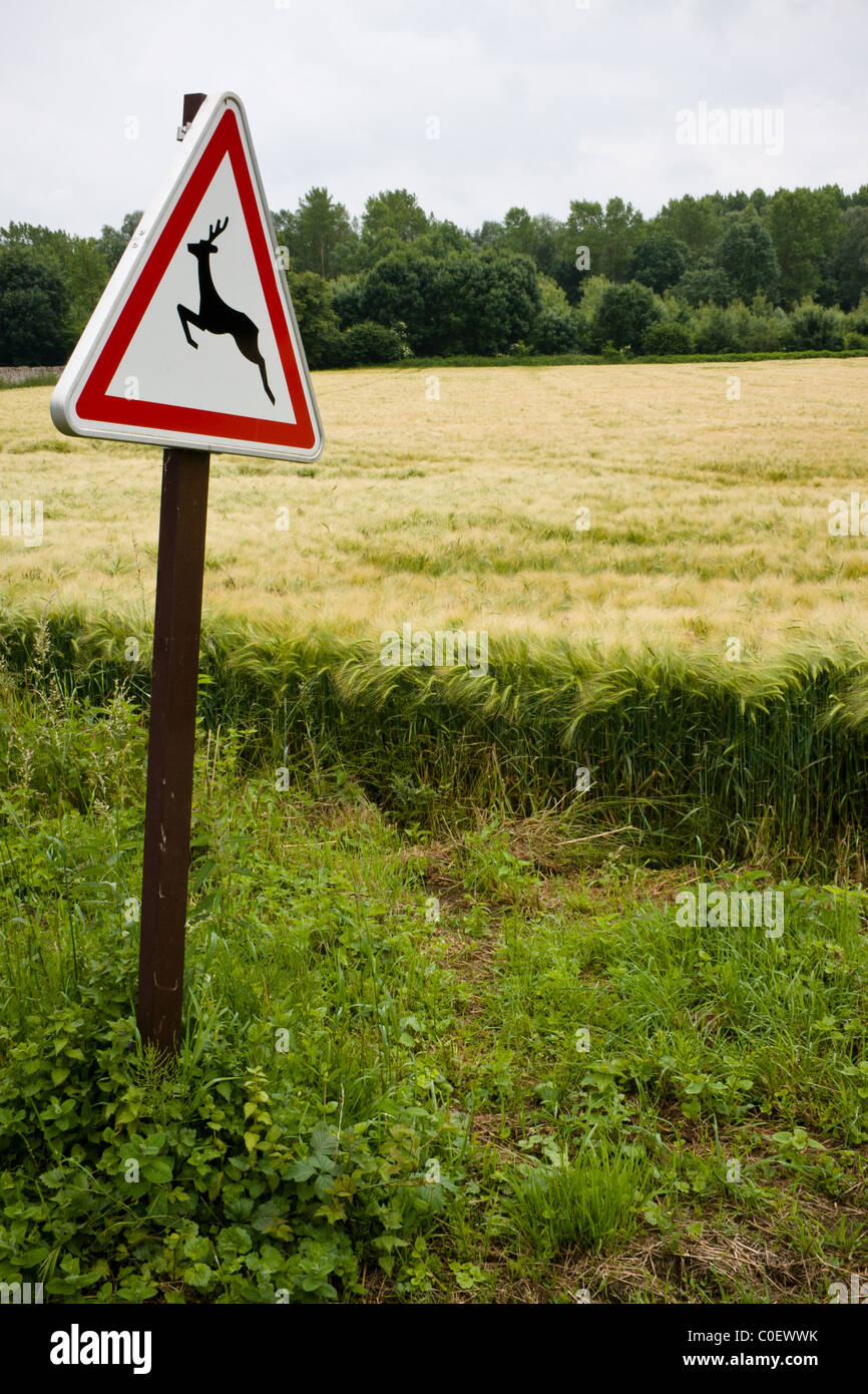 Jumping deer silhouette hi-res stock photography and images - Alamy