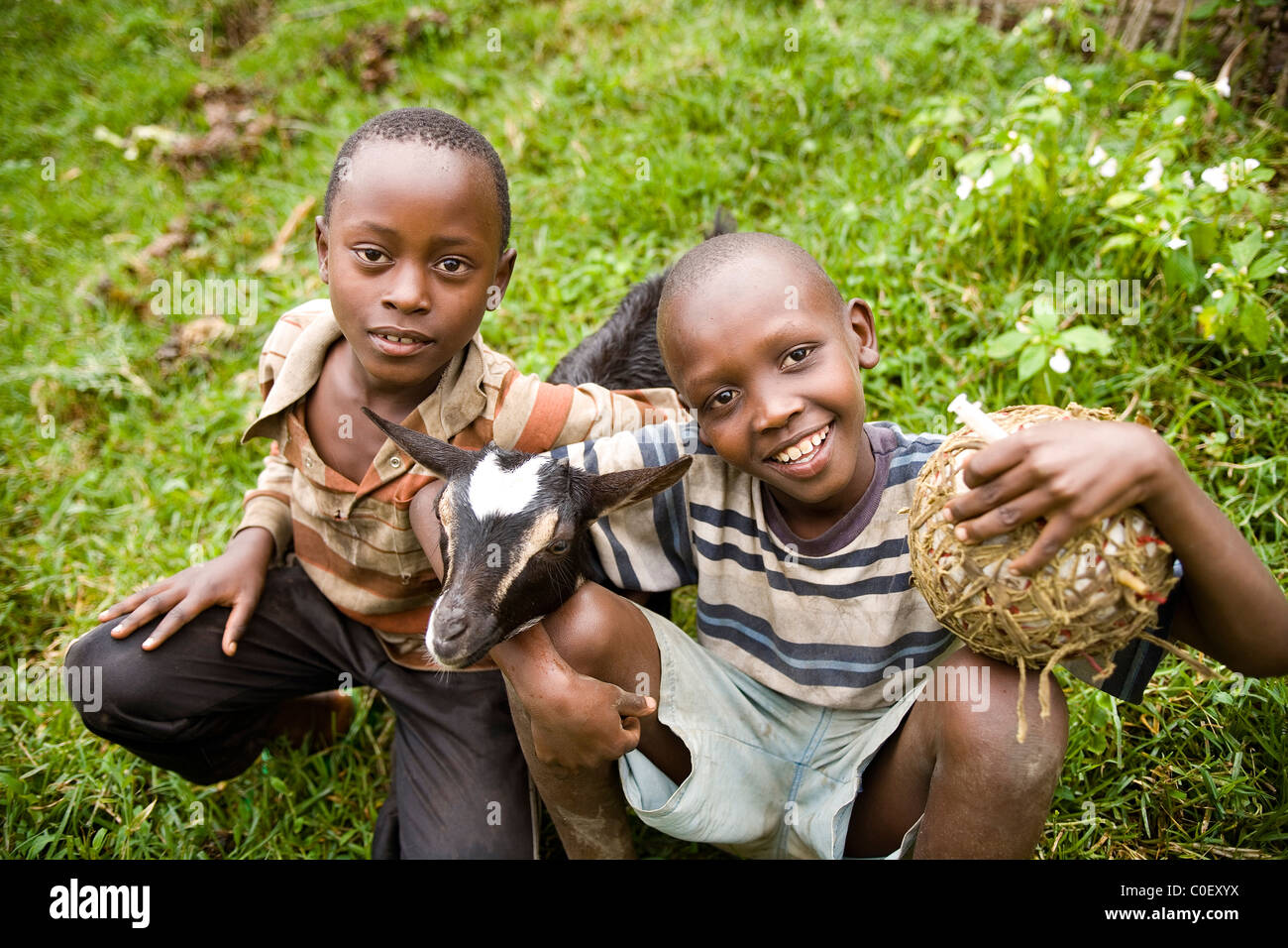 Rwandan boys with their goat Stock Photo - Alamy
