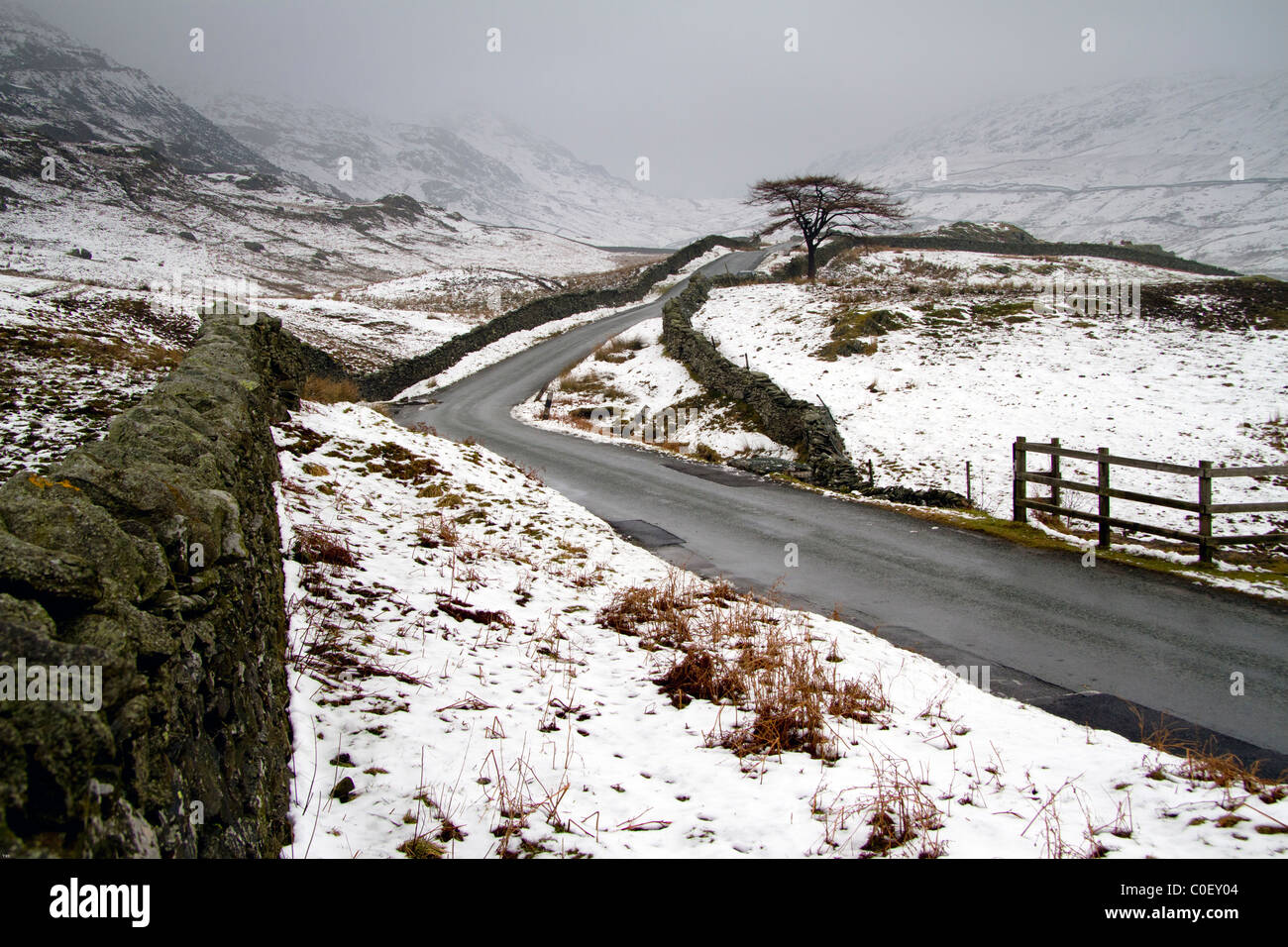 The Struggle in winter Stock Photo - Alamy