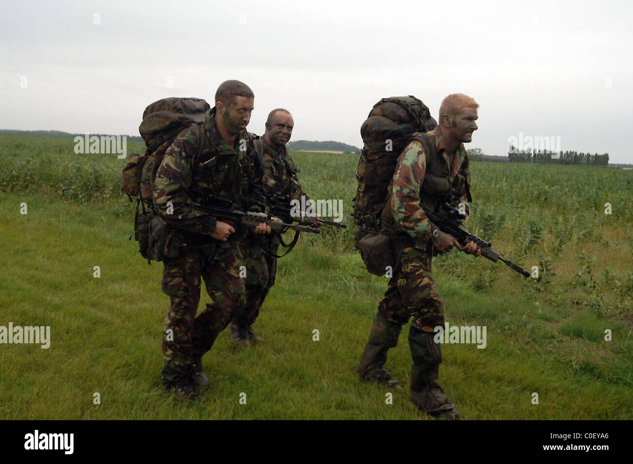 The Pathfinder Platoon during training Stock Photo - Alamy