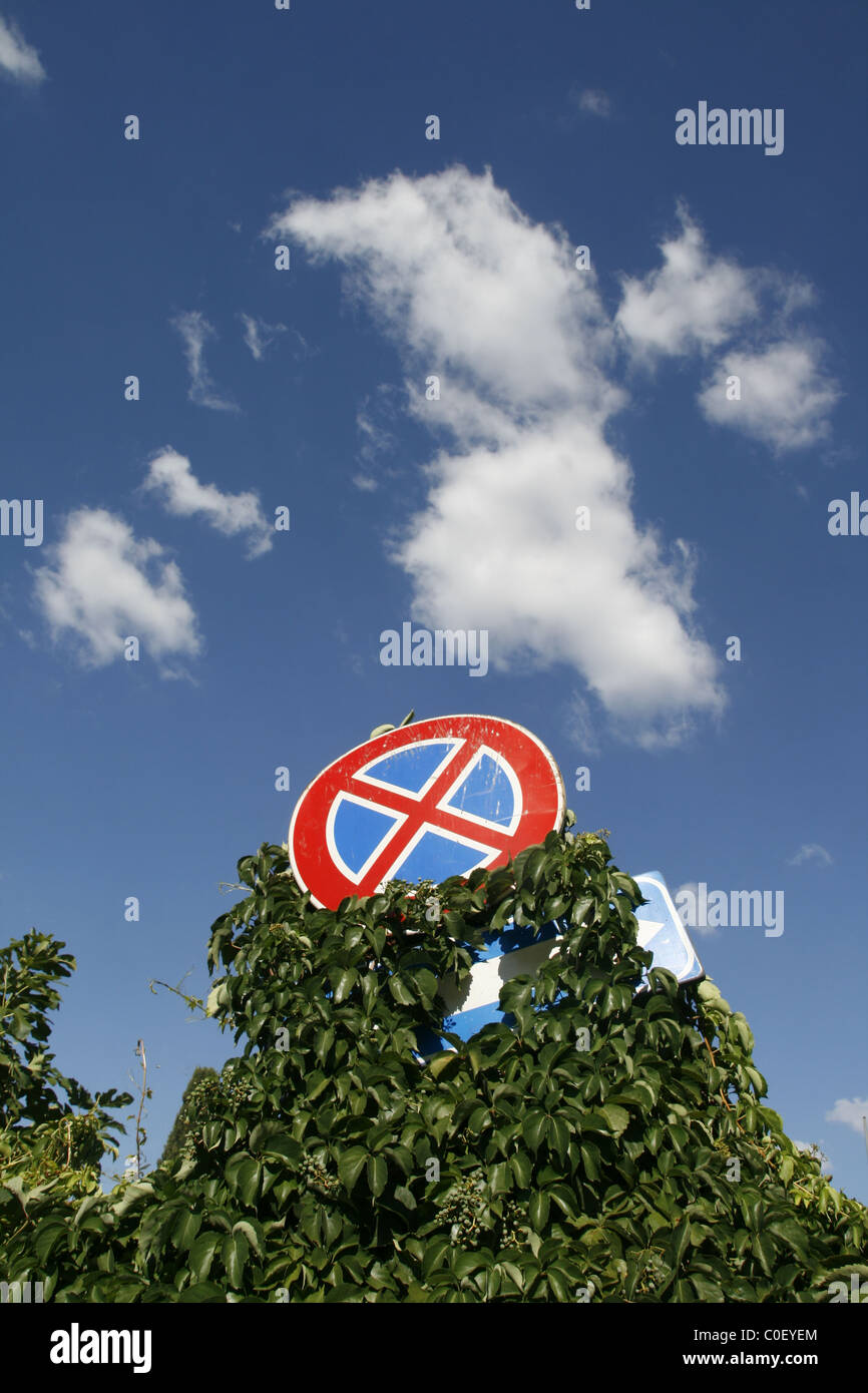 road traffic sign covered with ivy leaves Stock Photo - Alamy