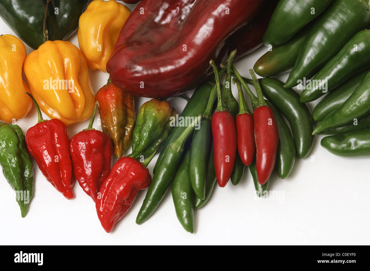 Types Of Hot Peppers