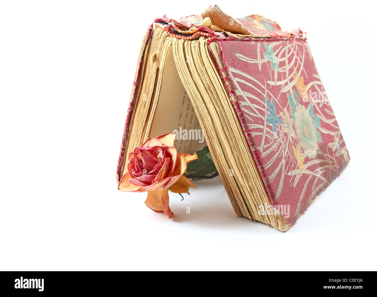 Open old book rose hi-res stock photography and images - Alamy