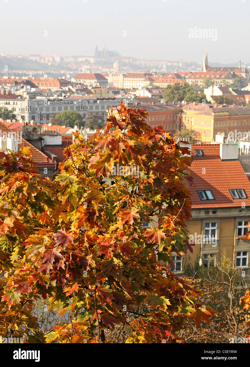 Prague czech republic autumn leaves hi-res stock photography and images ...