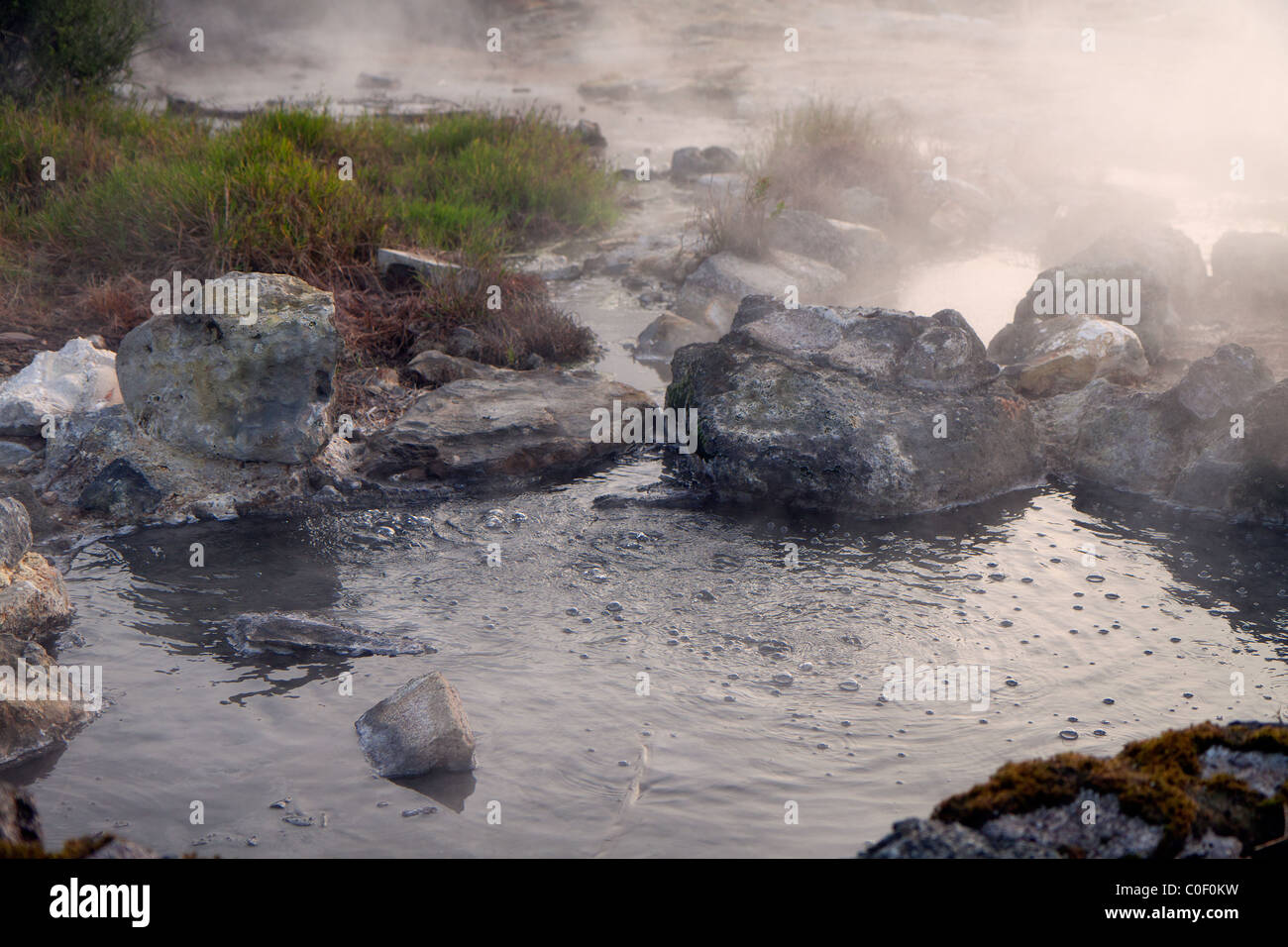Rotorua is a hot spring area on the North Island of New Zealand Stock ...