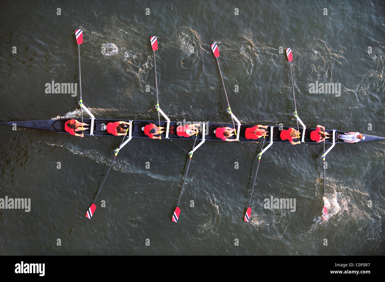 Crew Rowing Aerial High Resolution Stock Photography and Images - Alamy