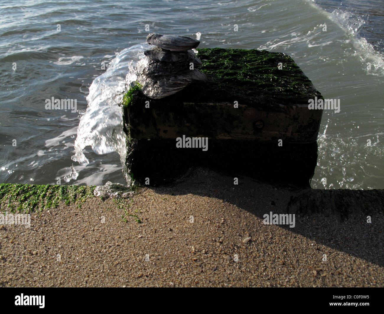 Shella hi-res stock photography and images - Alamy