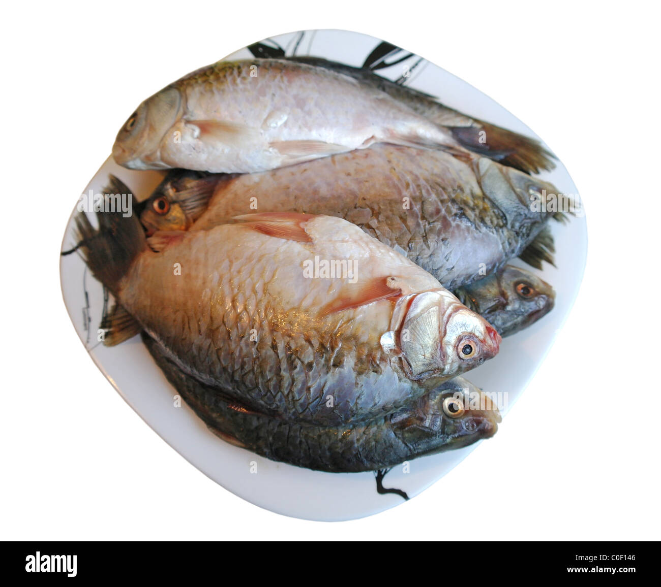 The cleared crude fish the Crucian on a plate, it is isolated, a white ...