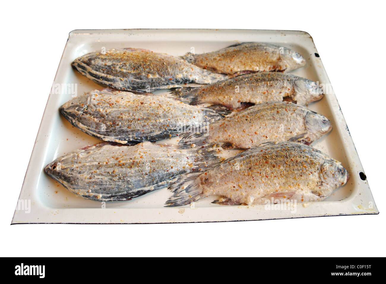 Crude fish the Crucian on the protwin, prepared for a frying, it is ...