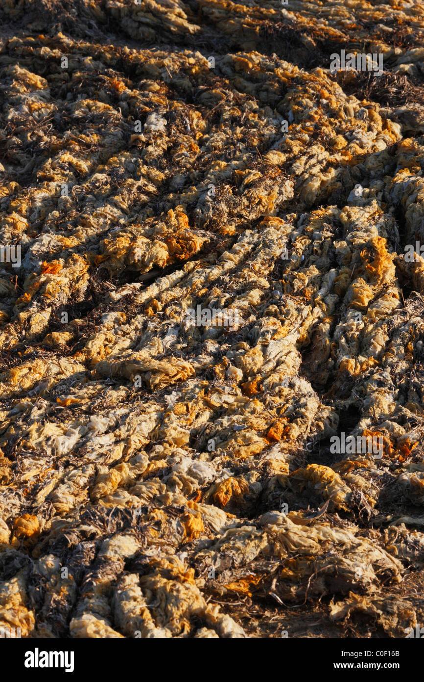 Uneven beach ground surface hi-res stock photography and images - Alamy