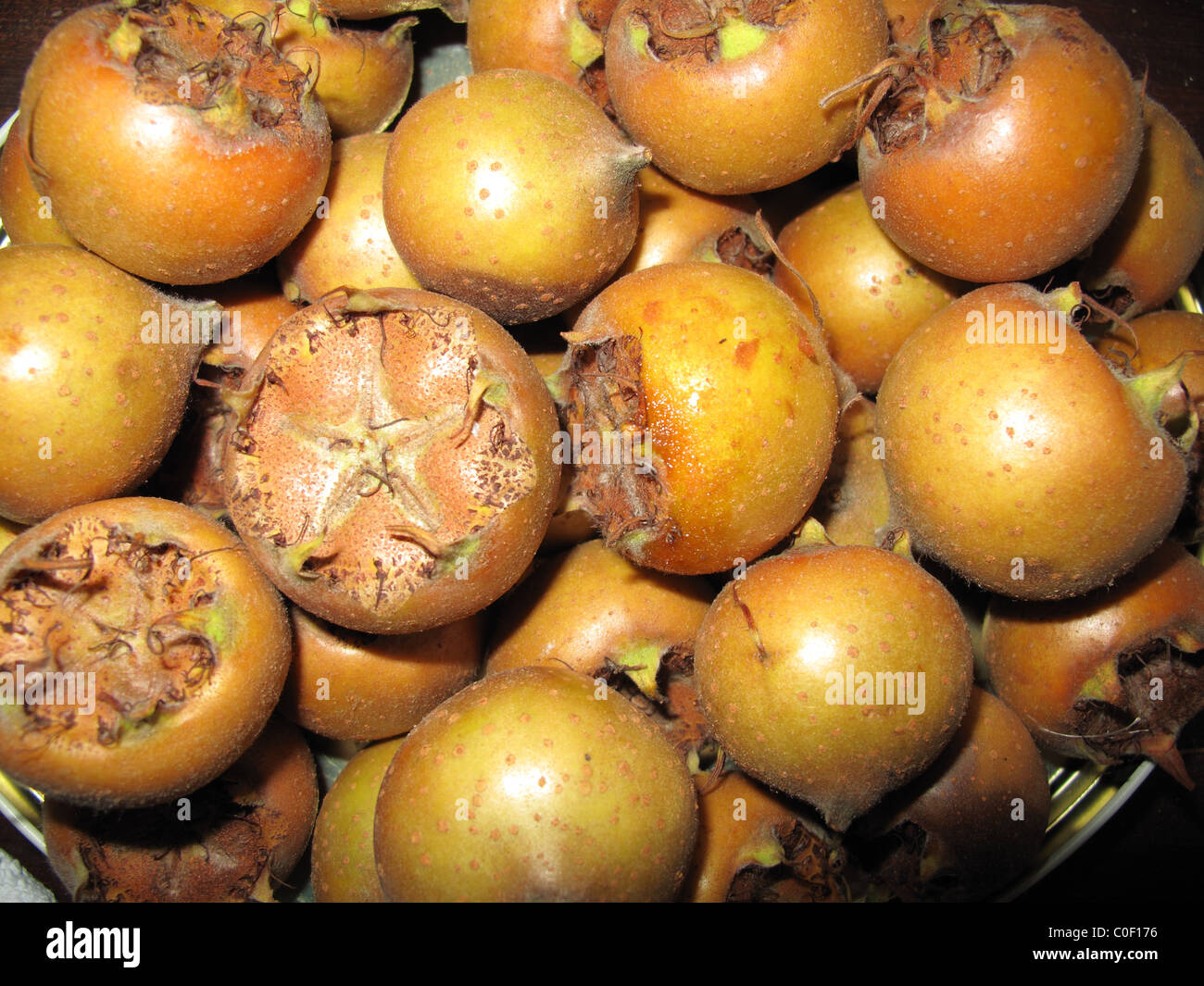 Mespilus hi-res stock photography and images - Alamy