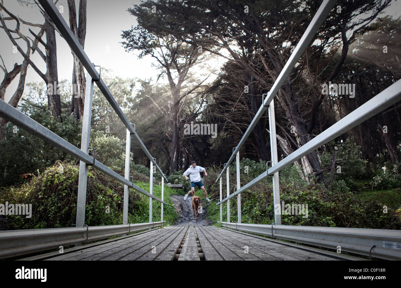A man runs his dog across a bridge in the Fitzgerald Marine Preserve ...